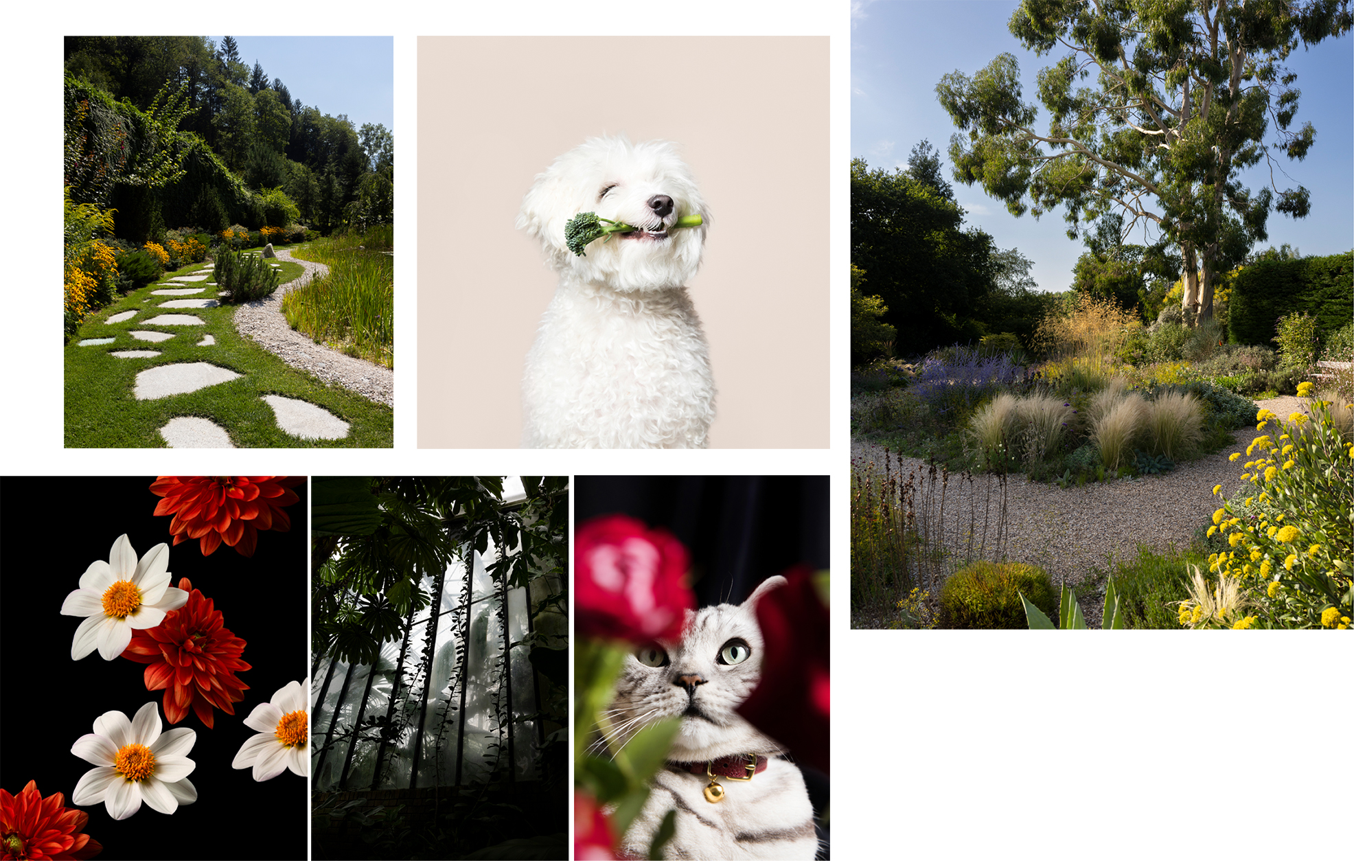 Rachel Oates – Photographer